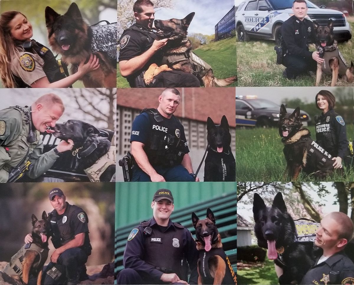 Store » Vested Interest in K9s